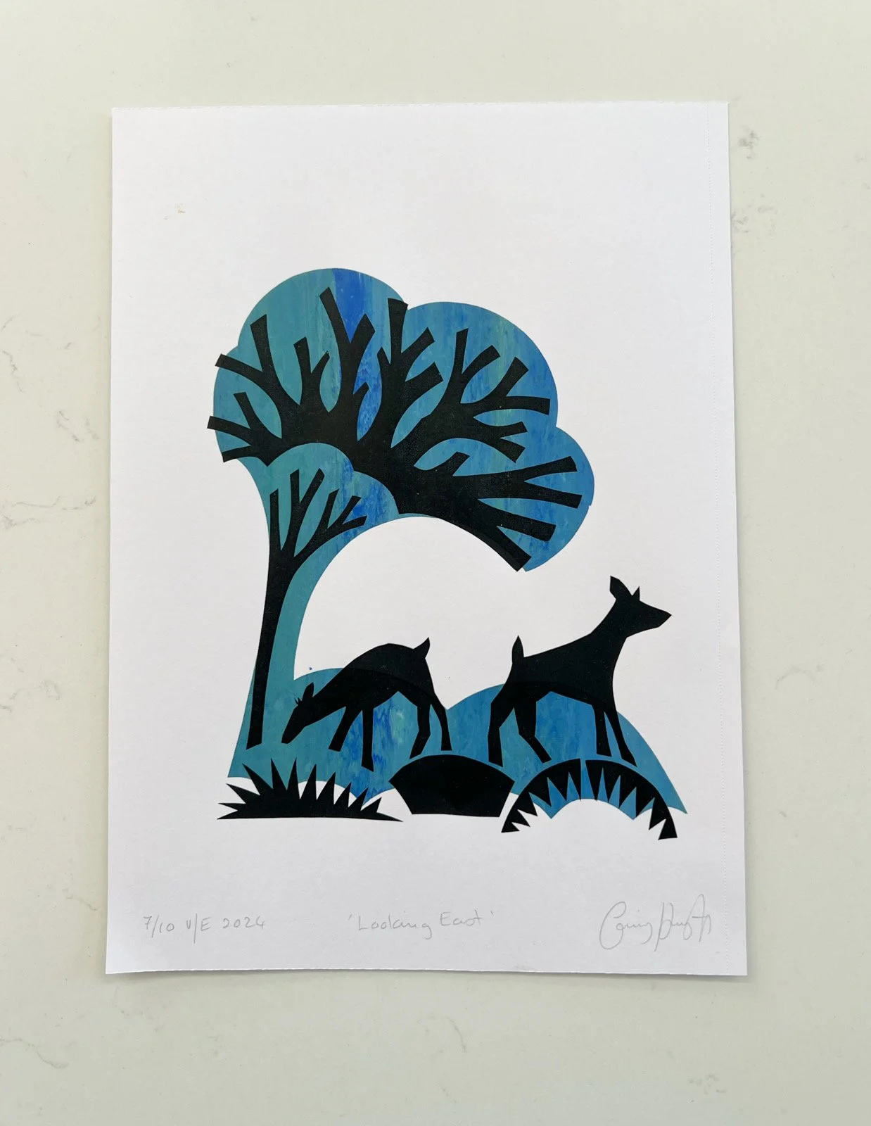 Shop | Emily Hogarth Paper-Cuts & Illustration - SHOP ONLINE - Edinburgh UK