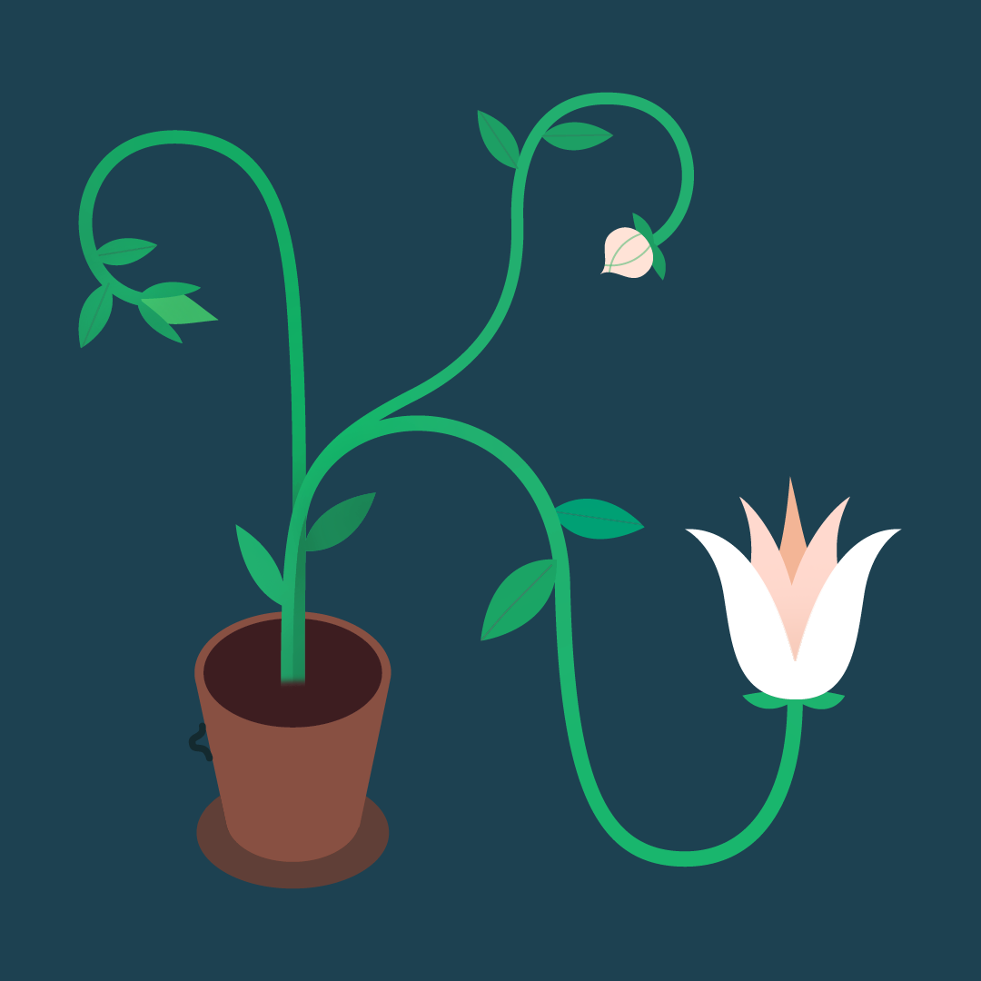 36 Days of Type: Clayton Junior Illustrated Lettering — Clayton Junior ...