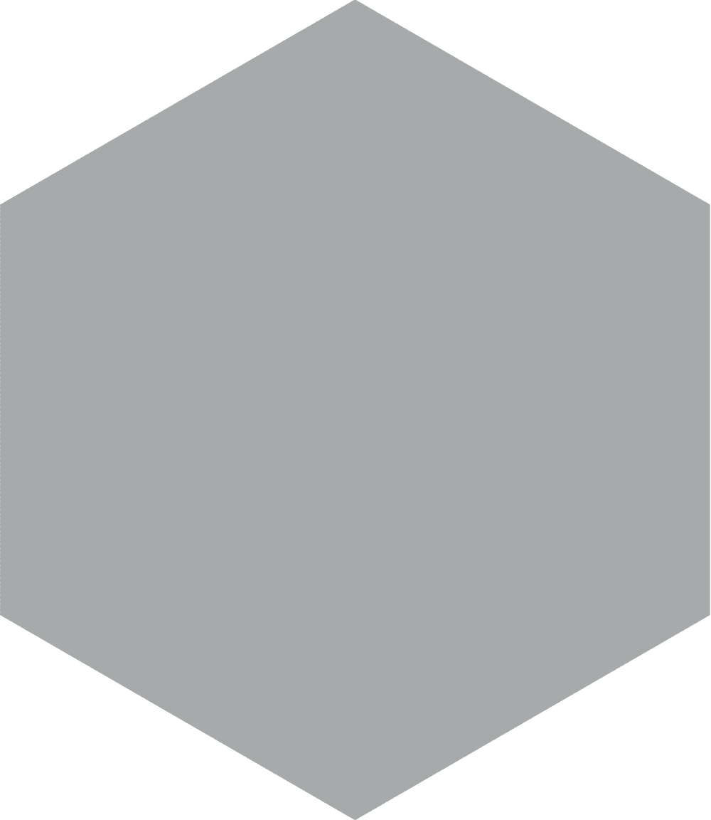Apini porcelain tile Hexagon & Subway Designs — Thompson Tile & Stone