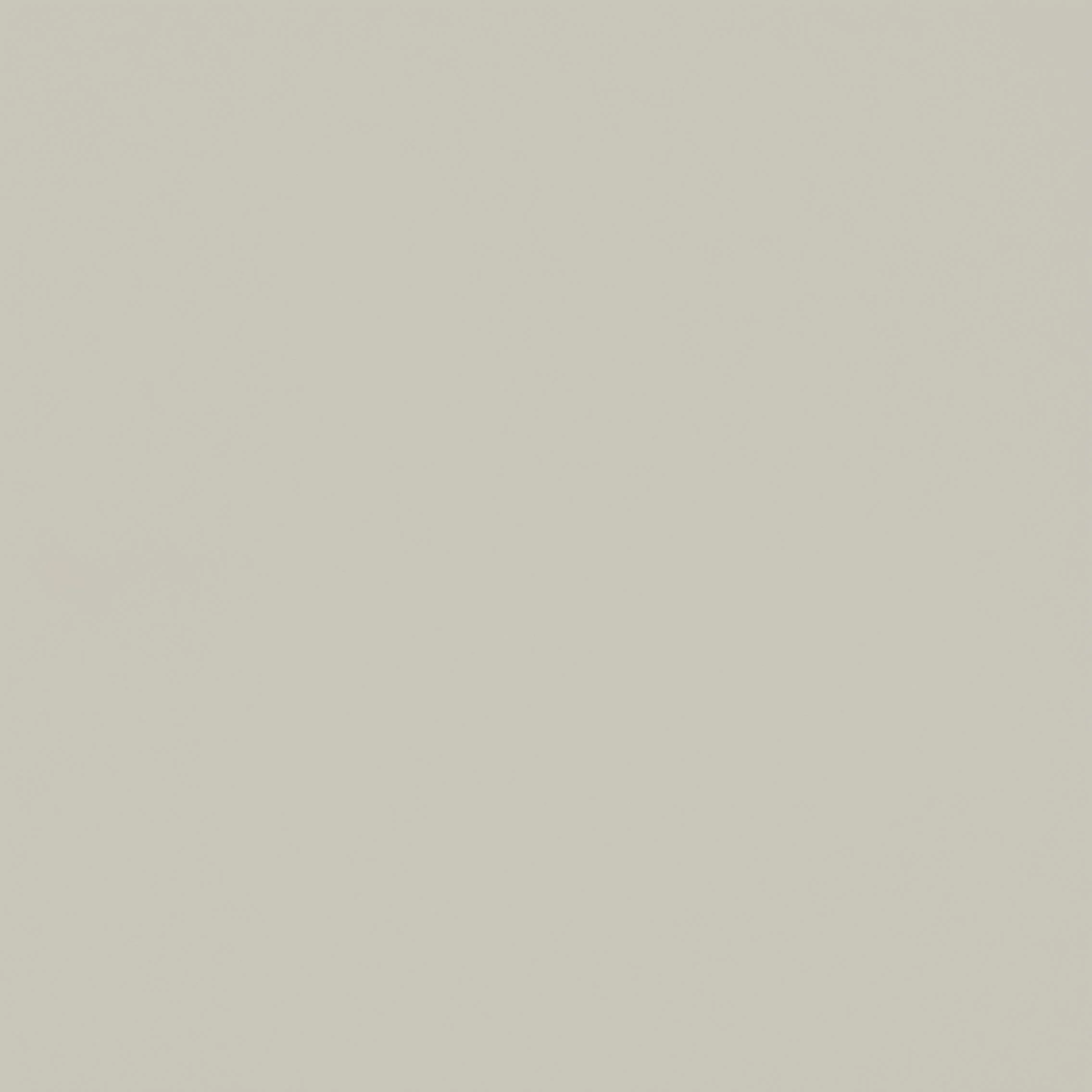Forever Color — Thompson Tile & Stone
