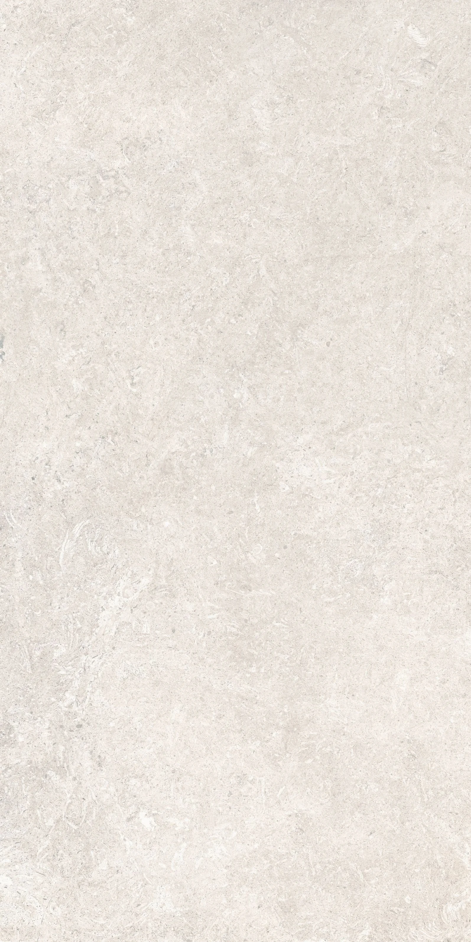 Kalkarea — Thompson Tile & Stone