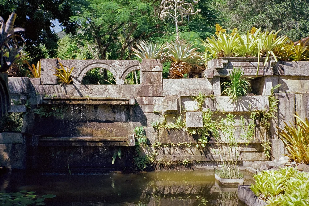 Burle Marx Gardens — Ciro Miguel