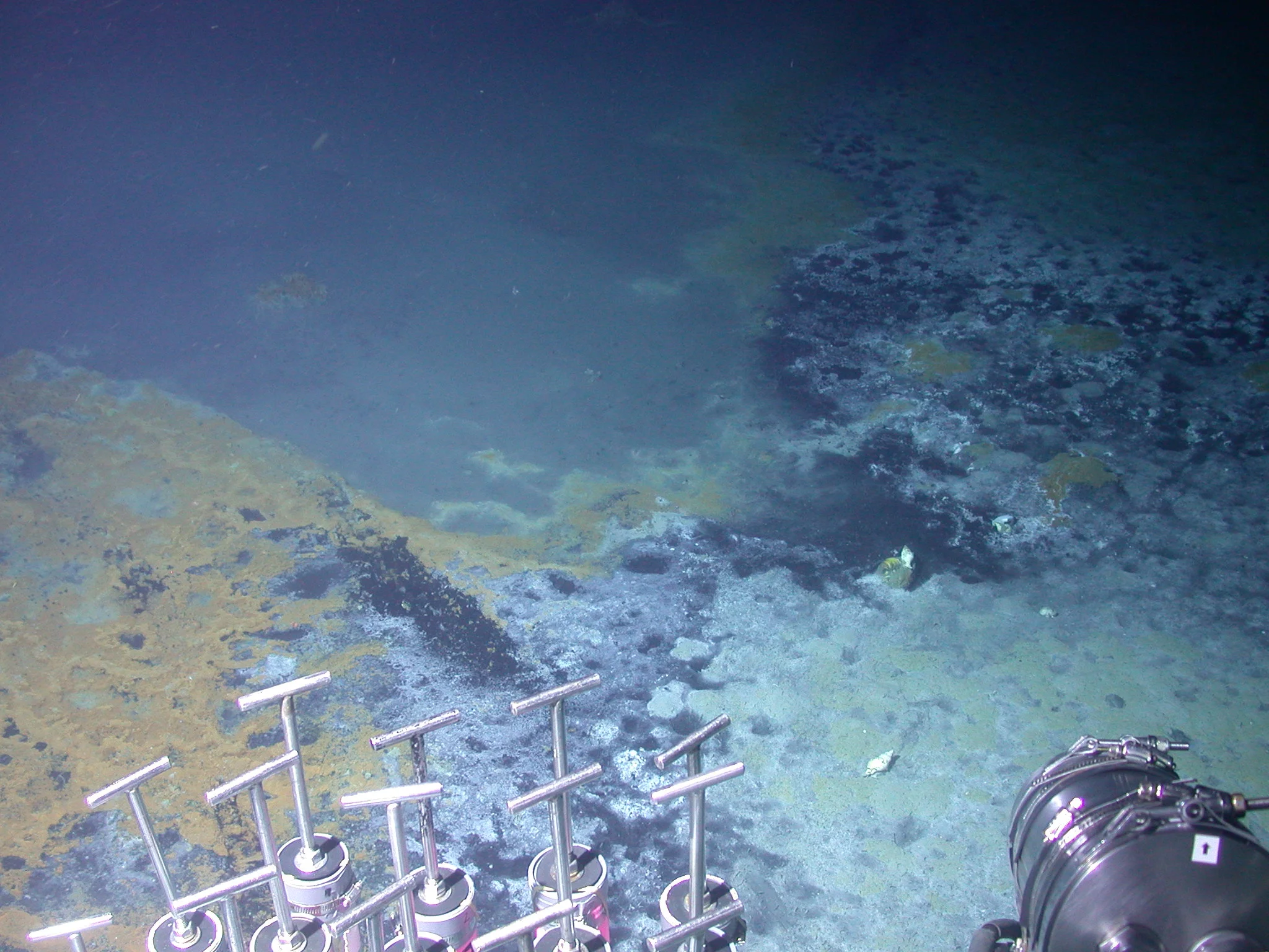 Hypersaline Environments — Joye Research Group
