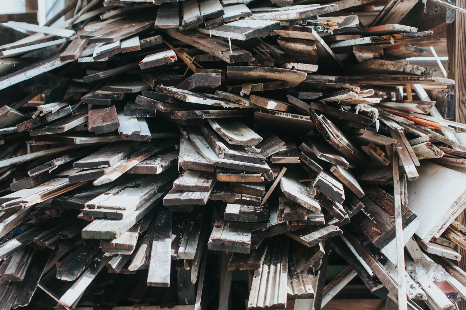 Salvage Store — the Green Project