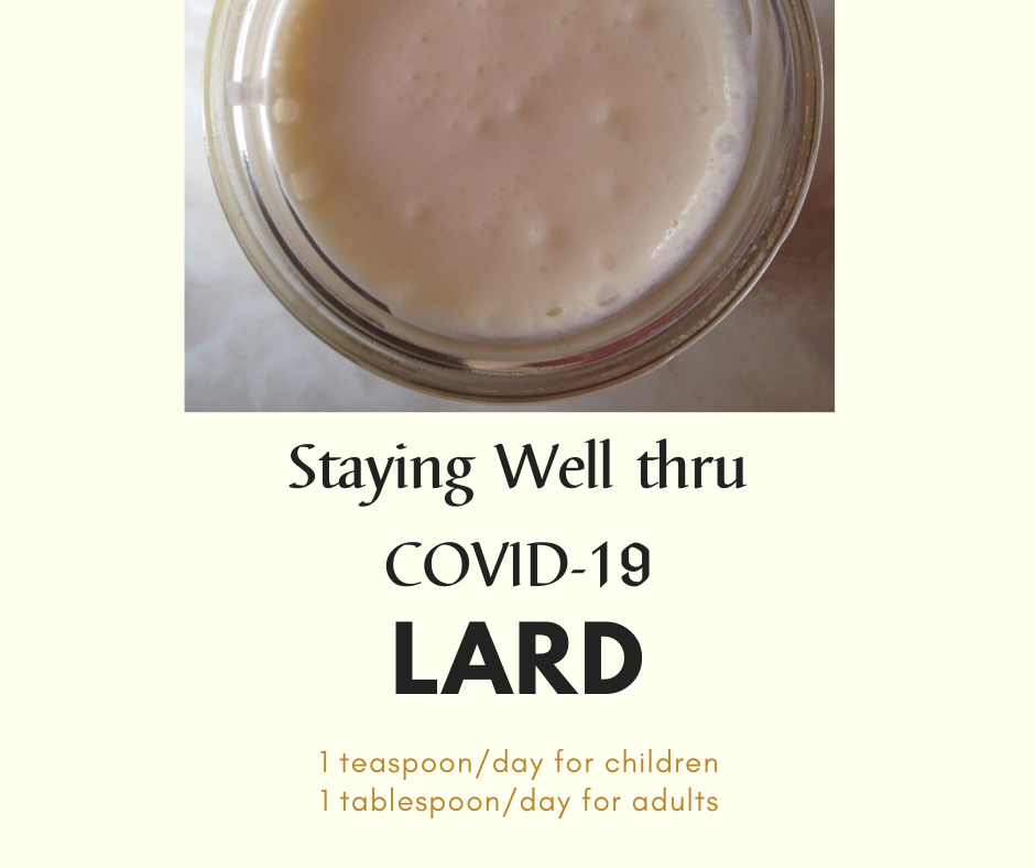 Monica Corrado, Simply Being Well, The GAPS Chef, Blog Articles ...