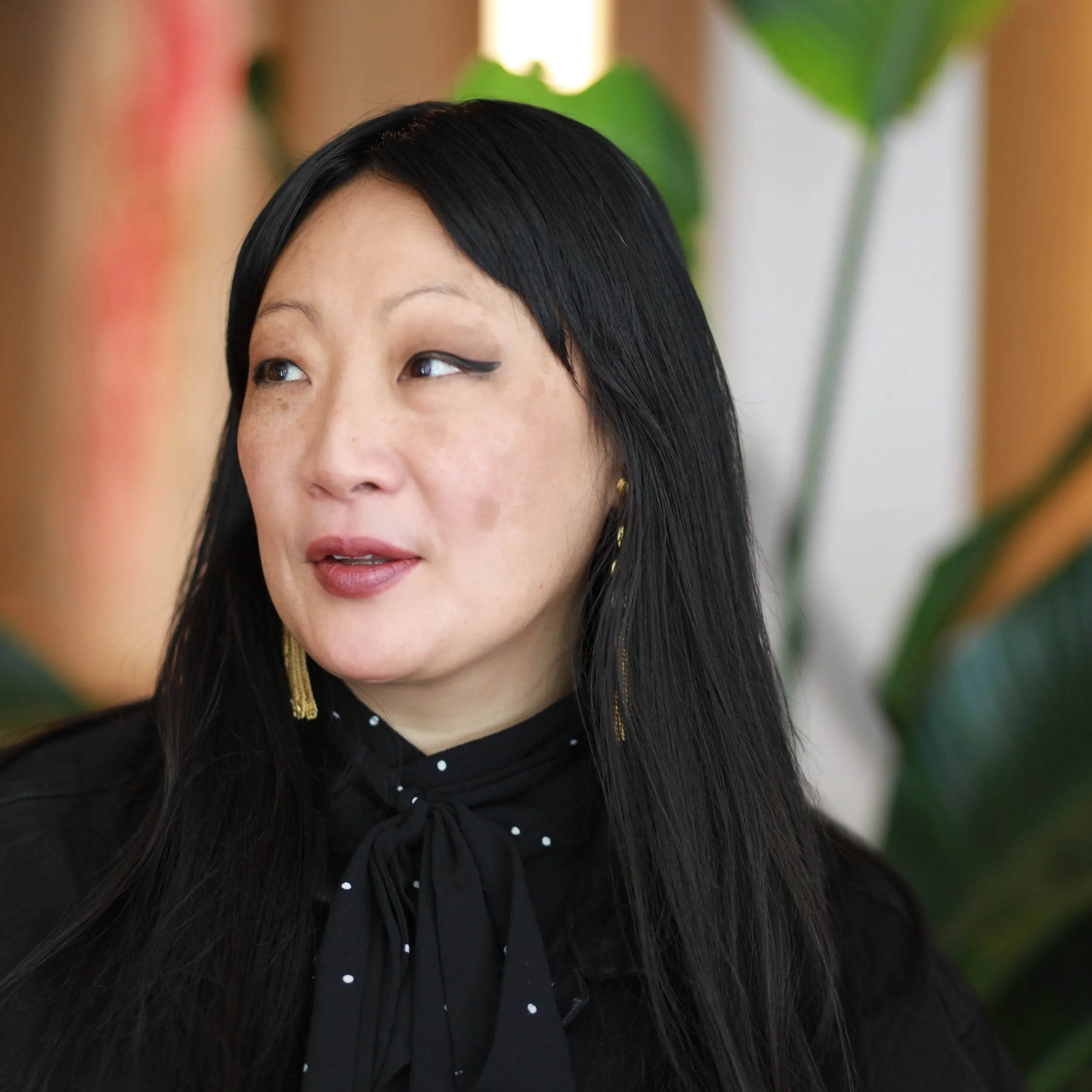 Mountain Plains Contemporary Art Biennial — Salina Art Center