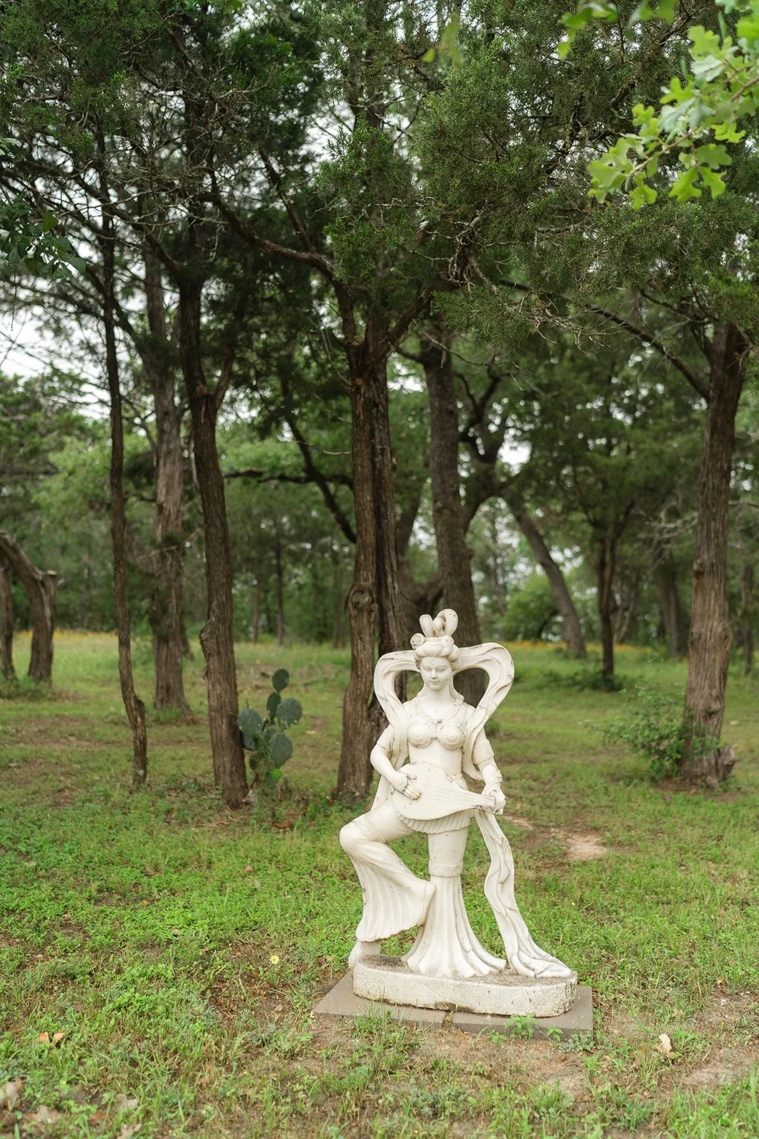 Capturing Memories and Magical Spaces at Shiraz Garden Austin Wedding ...