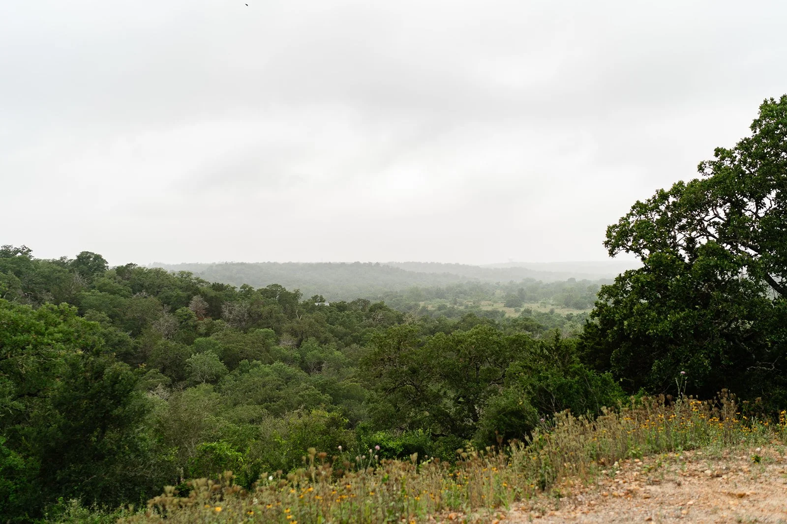 Capturing Memories and Magical Spaces at Shiraz Garden Austin Wedding ...
