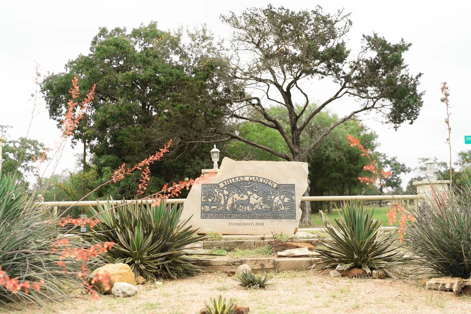 Capturing Memories and Magical Spaces at Shiraz Garden Austin Wedding ...