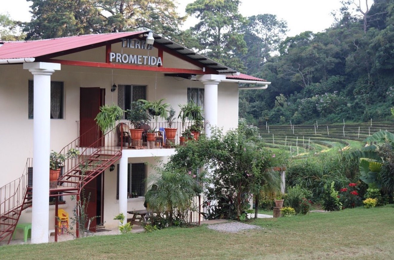 A Letter from Edgar Salguero to End 2025 — Casa Bernabé