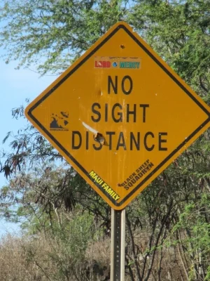 Are You a Literary Snob? 6 Signs to Watch For — Cindy Fazzi