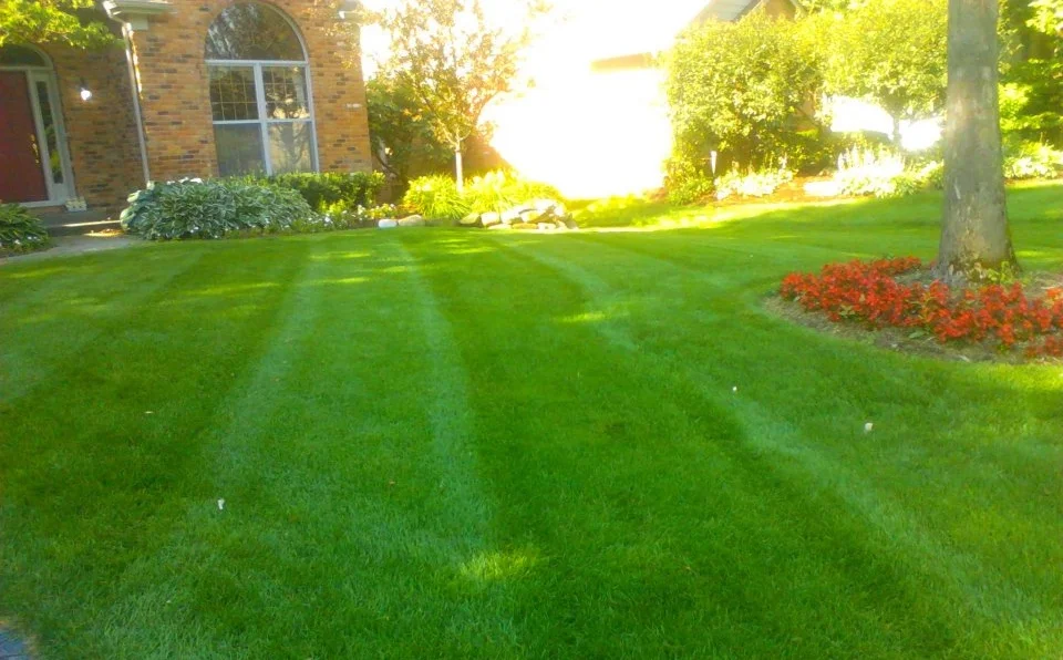 Lawn Guardians Landscape