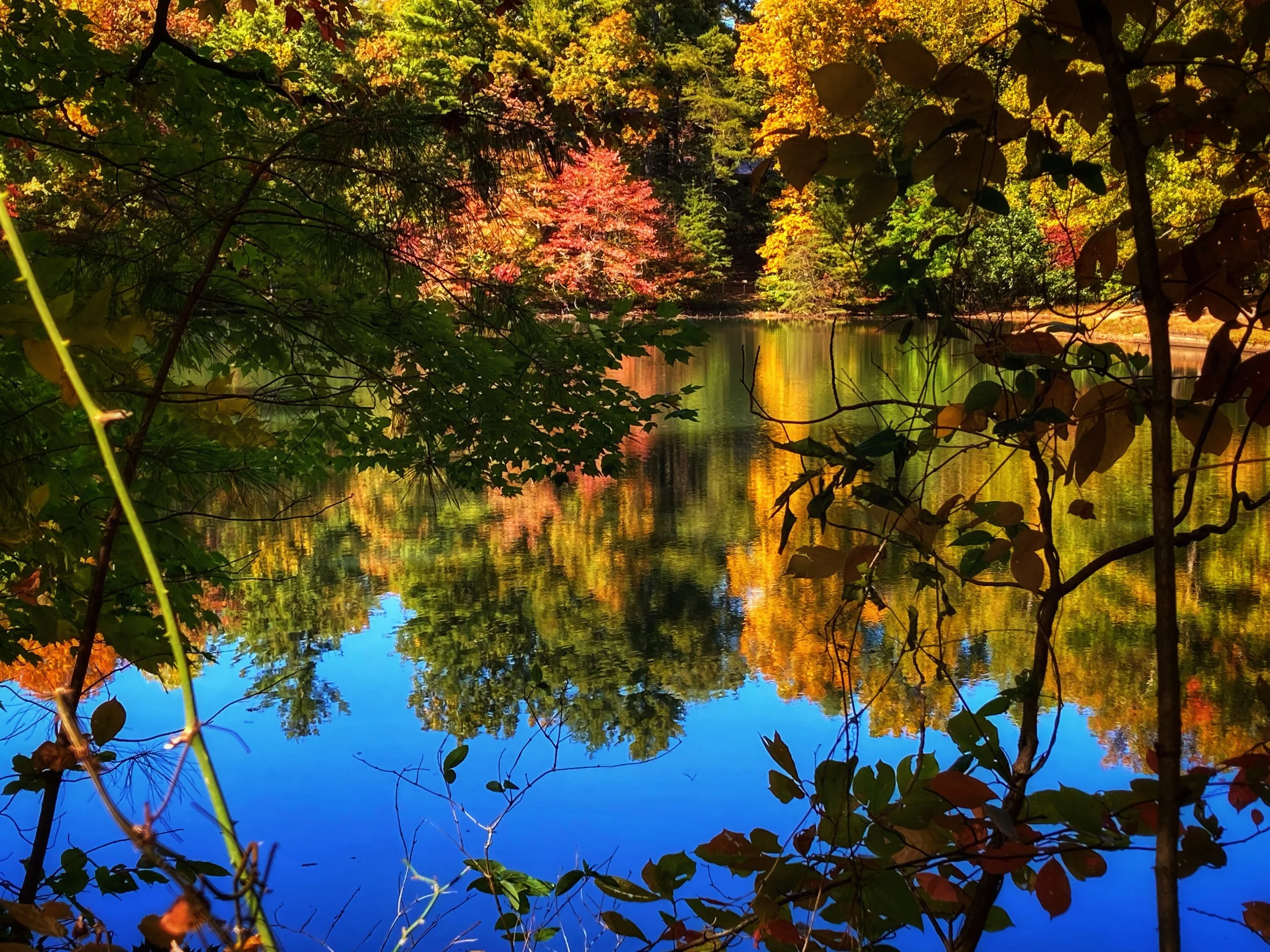 Our Vision and What We Do — Nurturing Communities Network