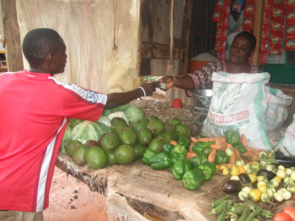 Microfinance Programme — The Changarawe Project