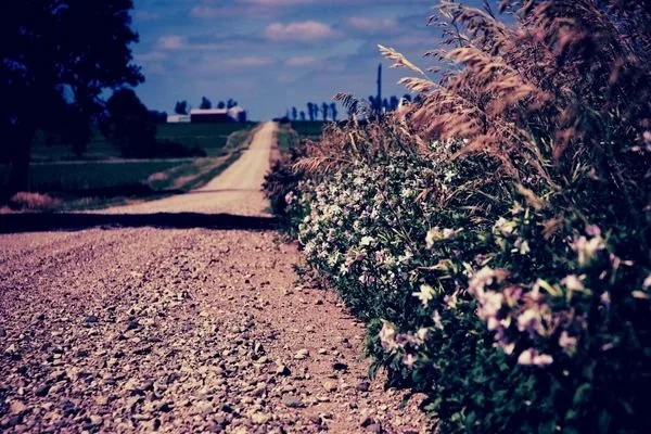 Tumblr Country Photography