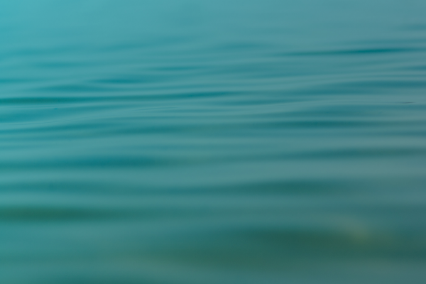 Apnea by Michael Mark — Passages North