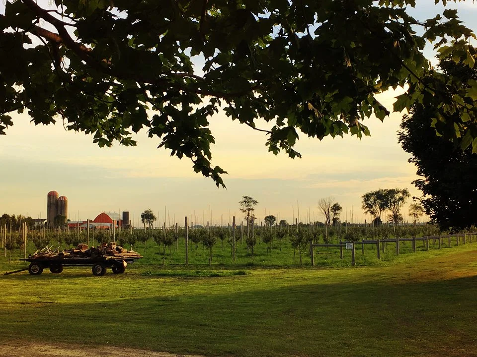 Our Story — Two Blokes Cider