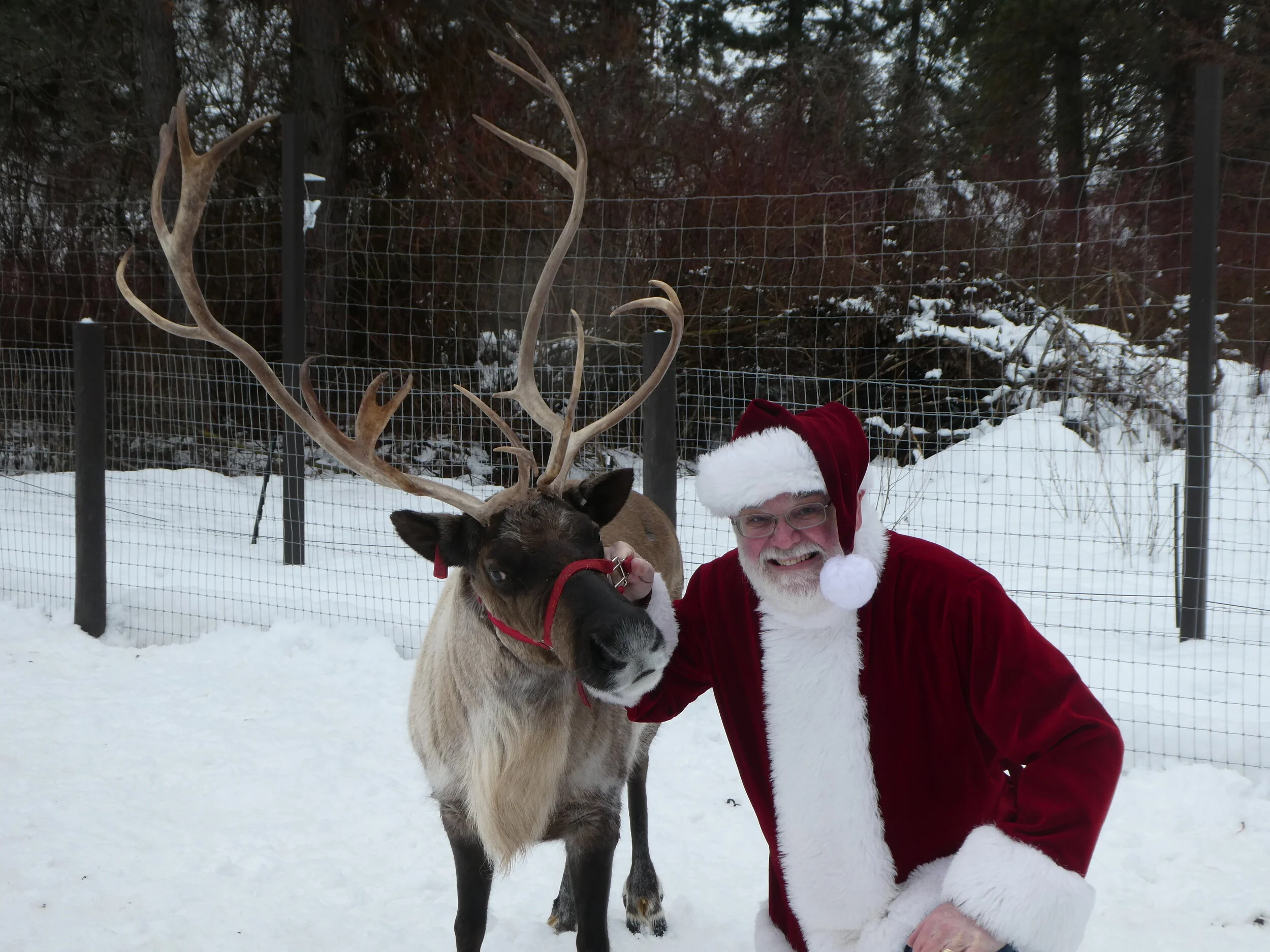About Us — Jolly Santa Ted