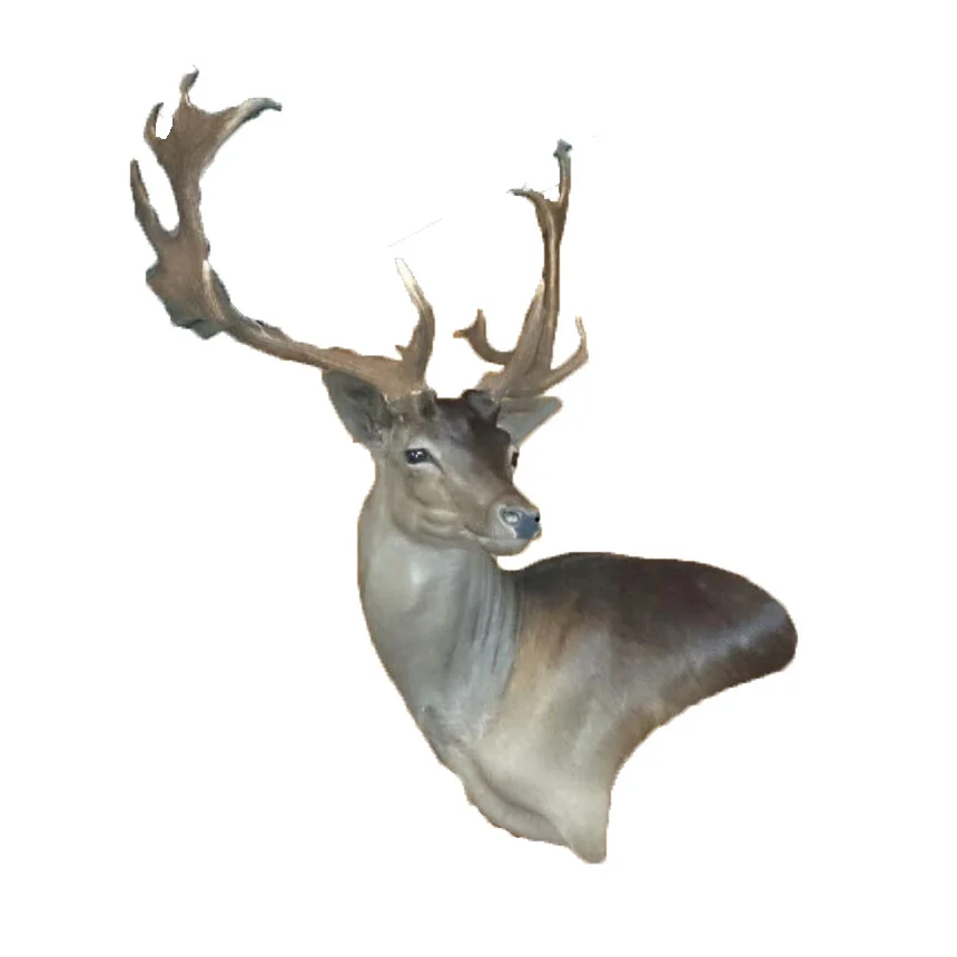 Supplies — Modern Taxidermy