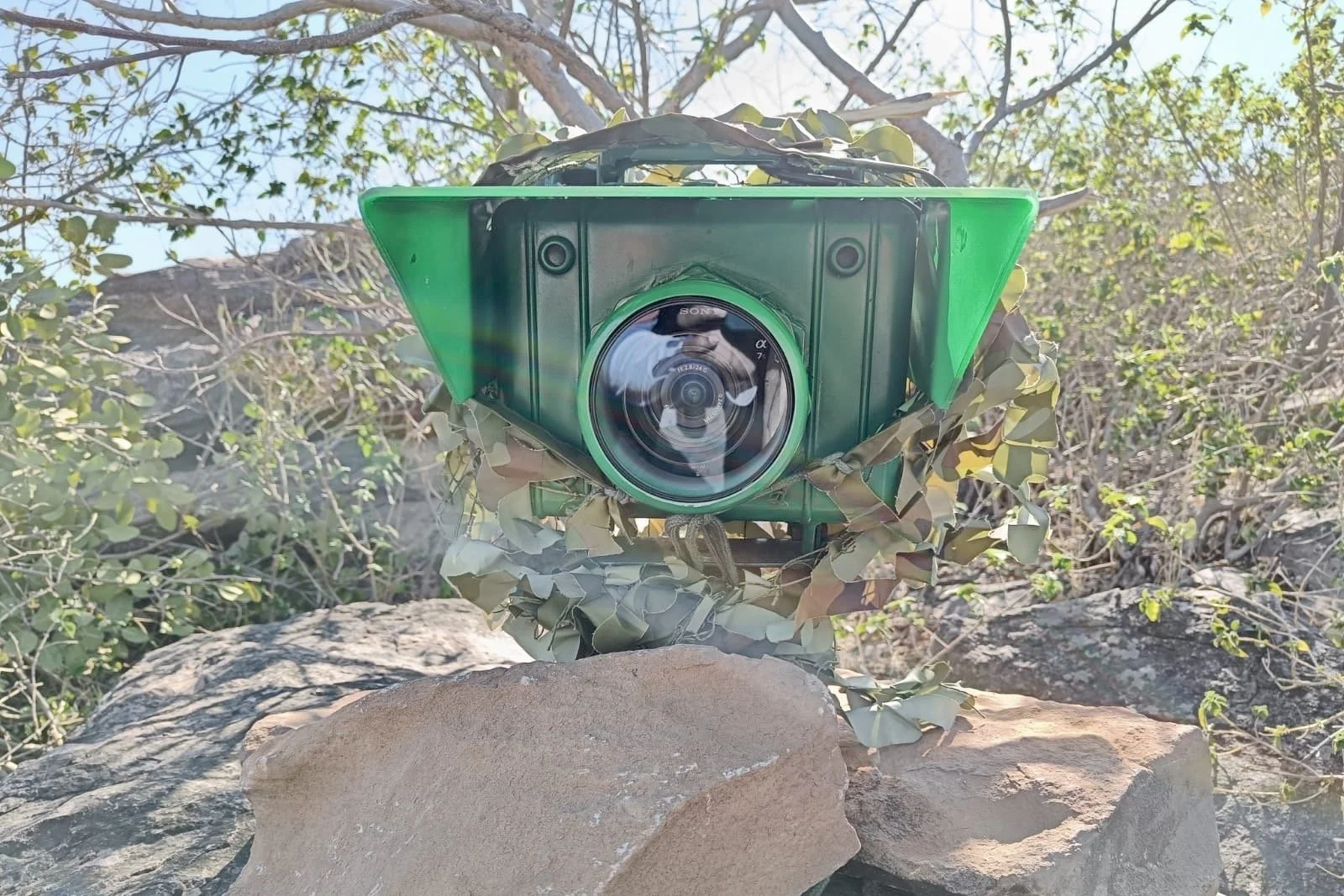 Wildlife Camerman and Filmmaker