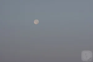 How to Photograph the Moon — Focal Vine