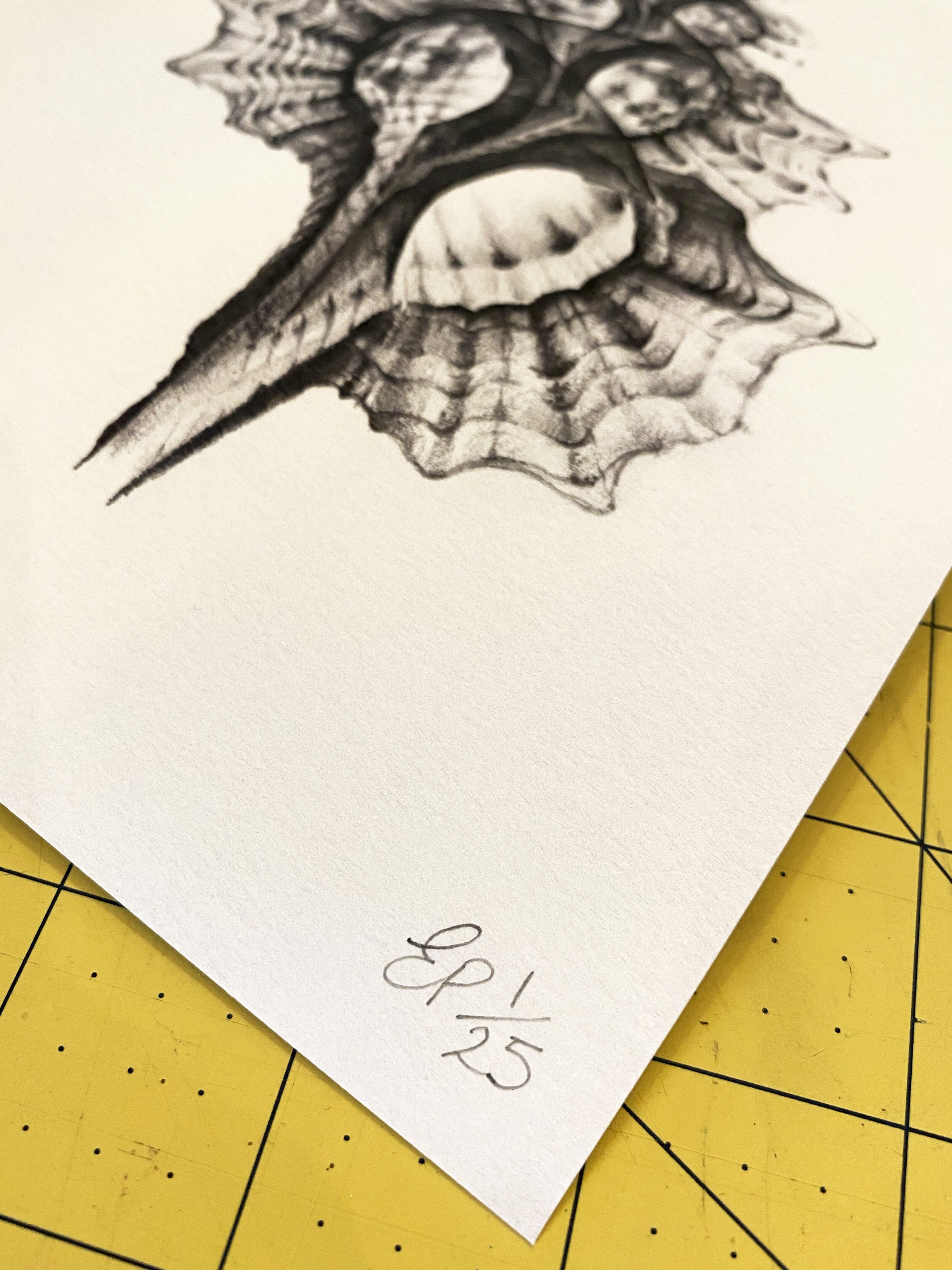 'Nature's Helix' Limited Edition Print — Emily Penfold