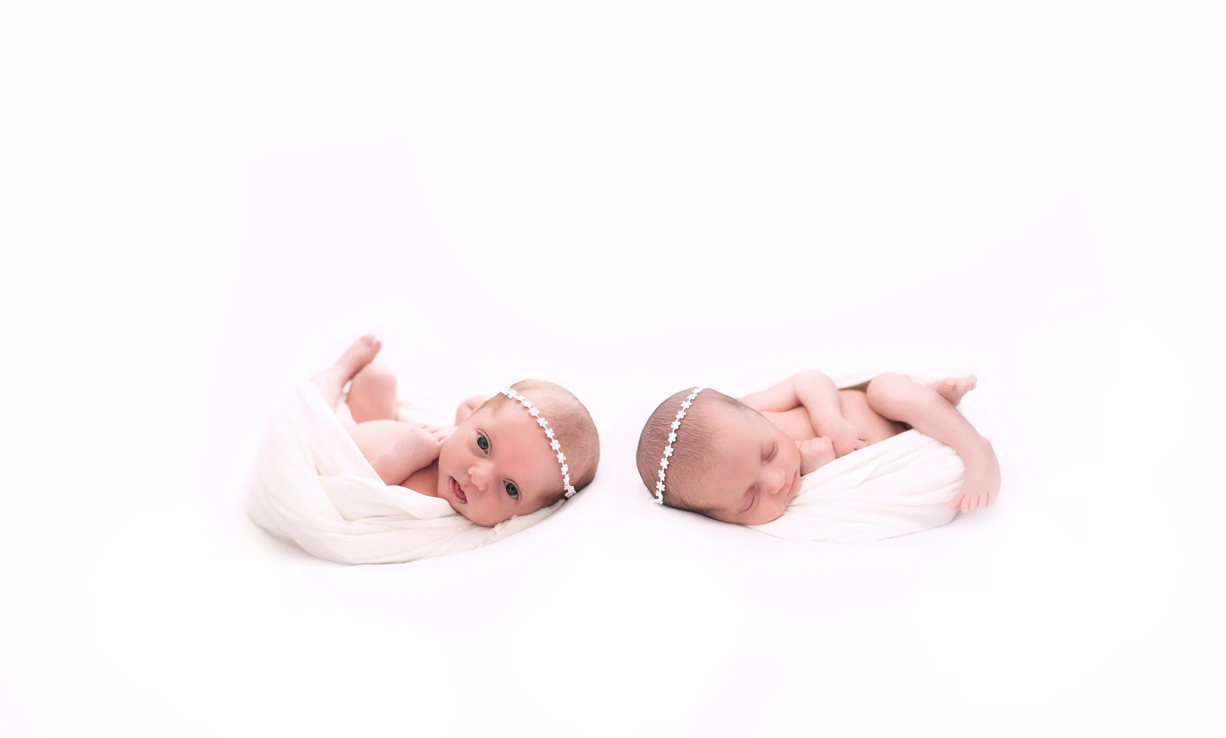 Galleries — Indy Family Photo