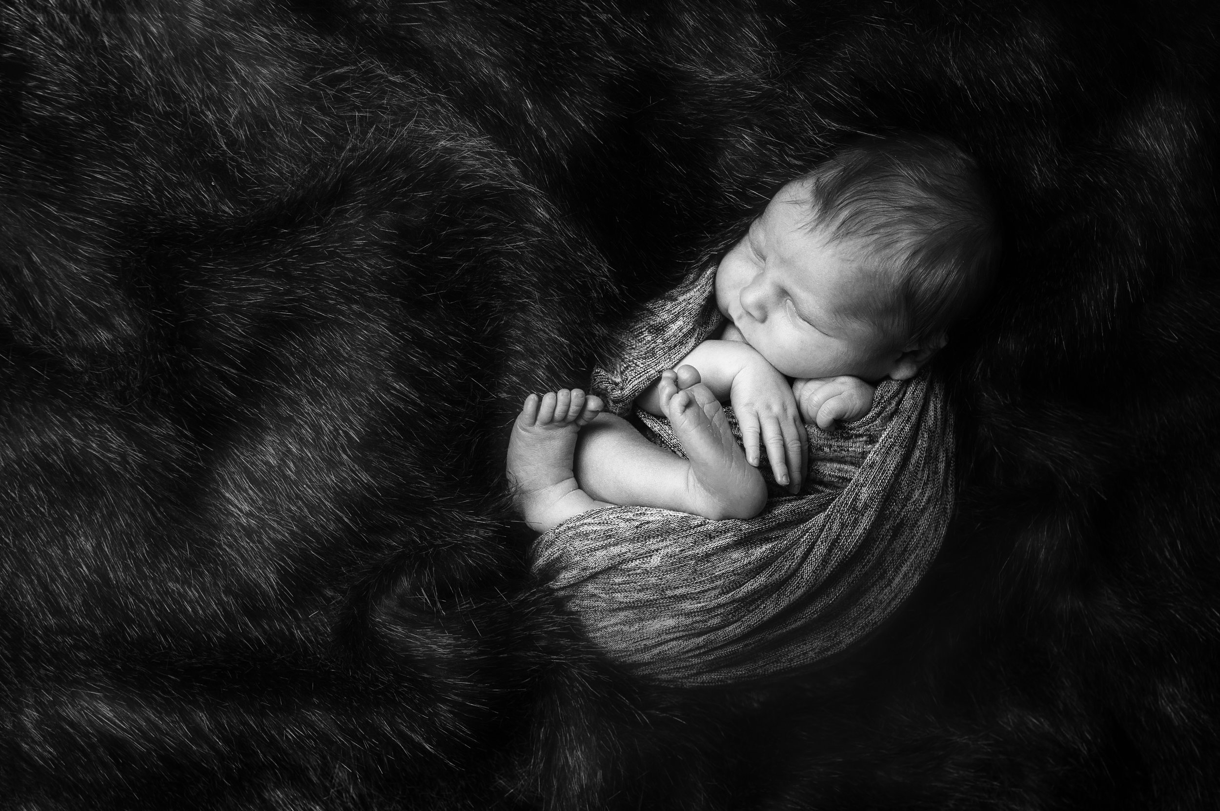 Galleries — Indy Family Photo