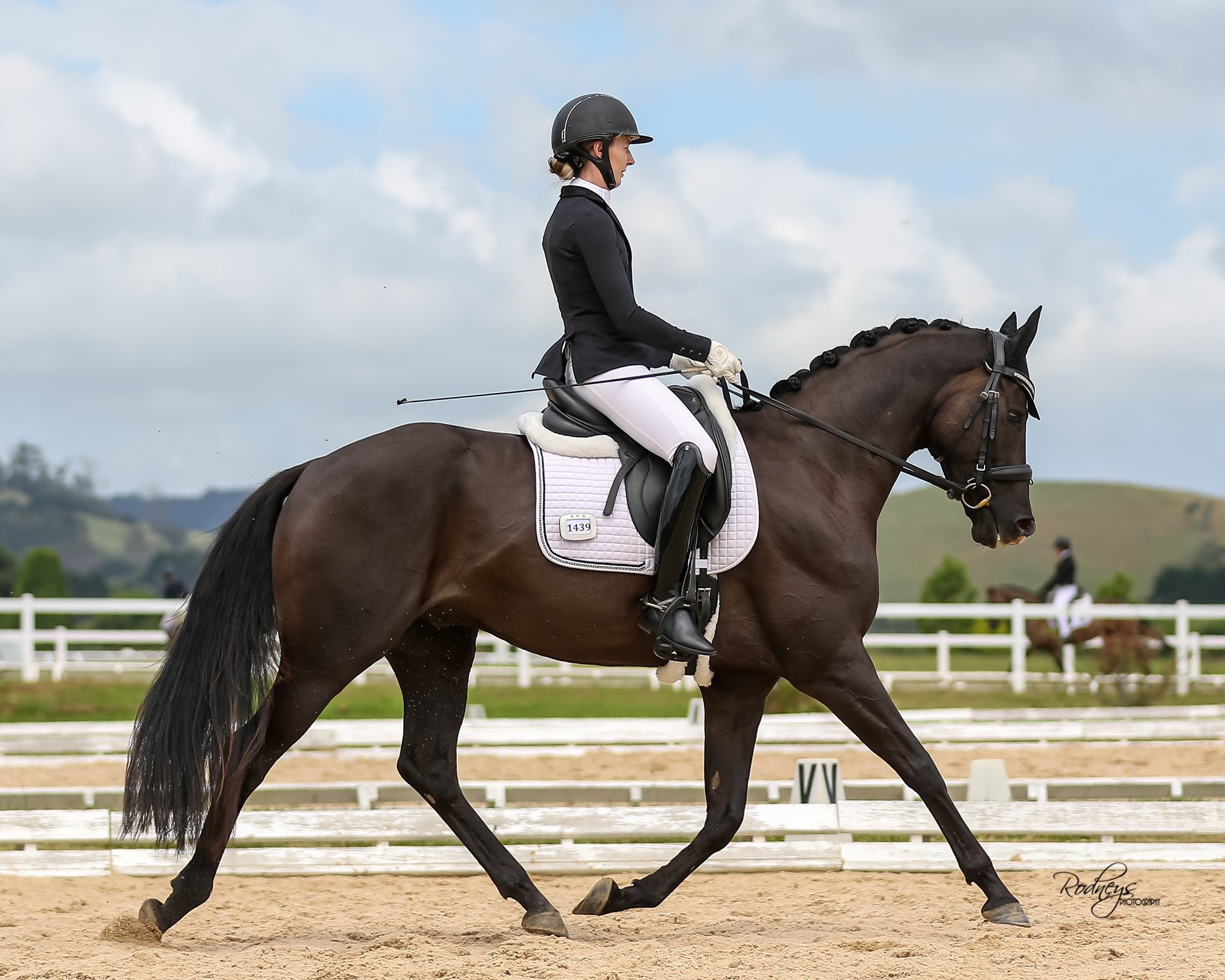 News — Bowral Dressage Club Inc