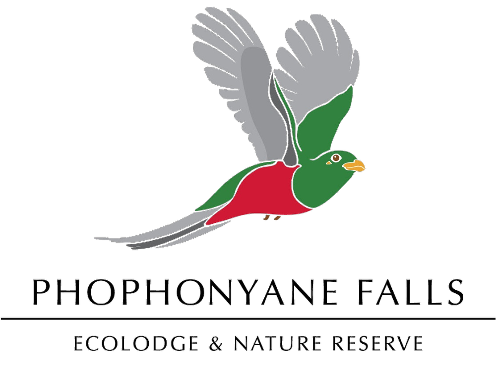 Phophonyane Lodge