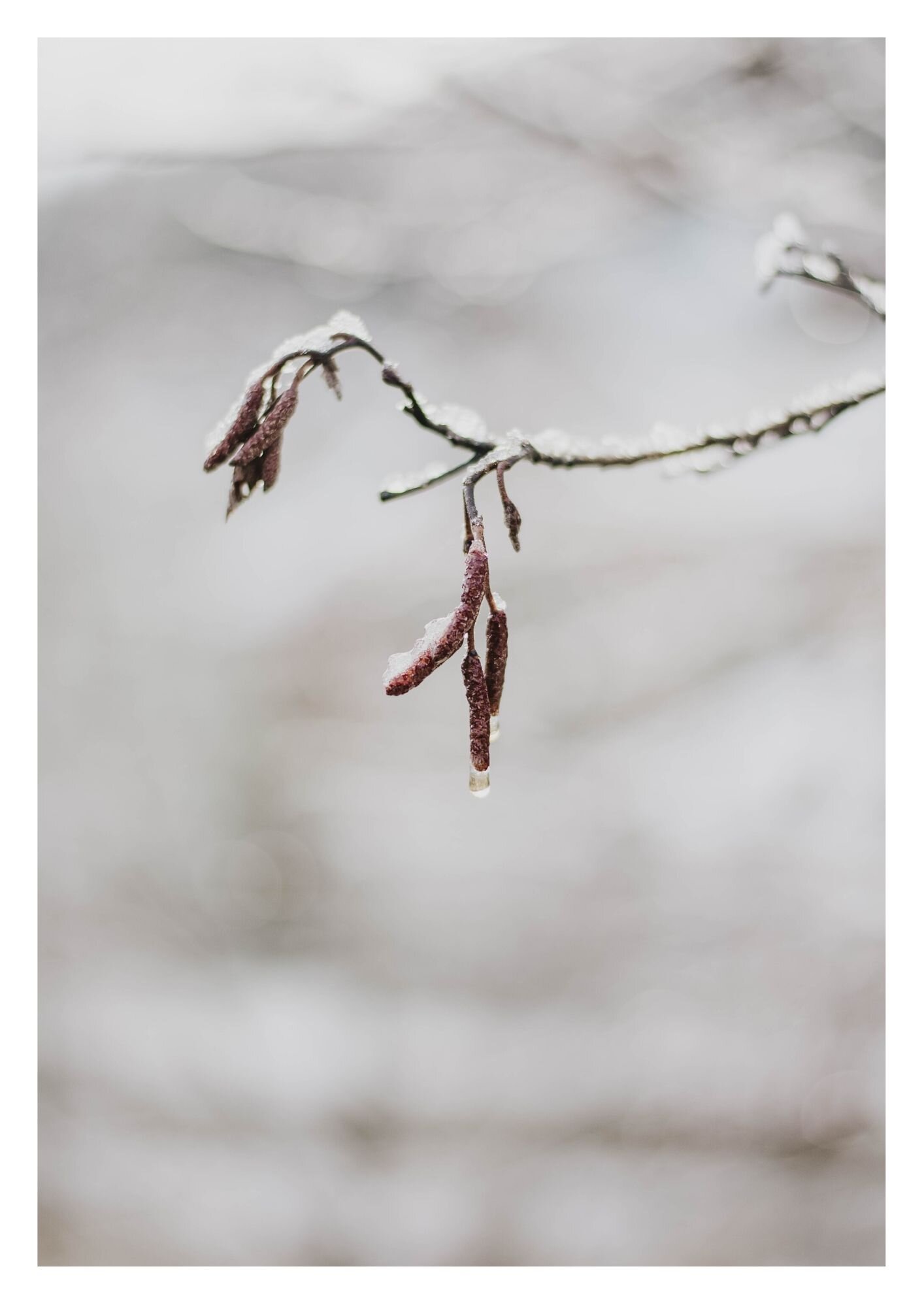 Late Winter Early Spring Hd