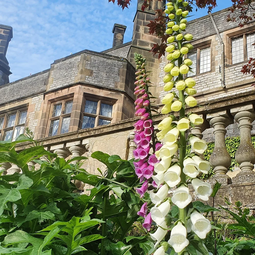 Group Visits — Thornbridge Estate in the Peak District
