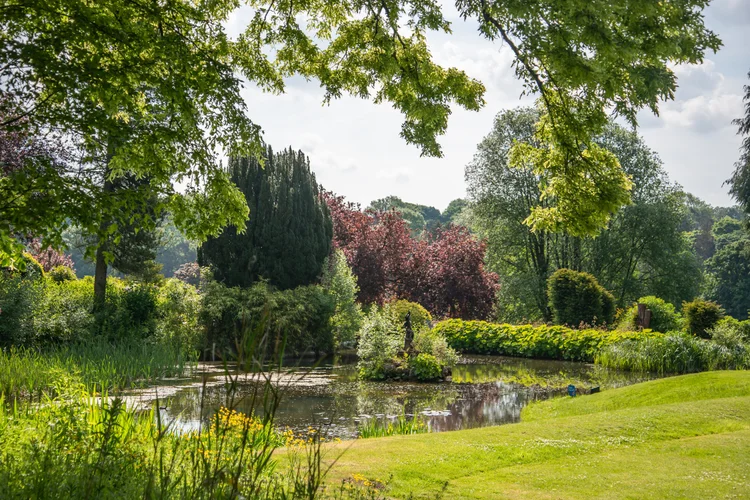 Gardens — Thornbridge Estate in the Peak District