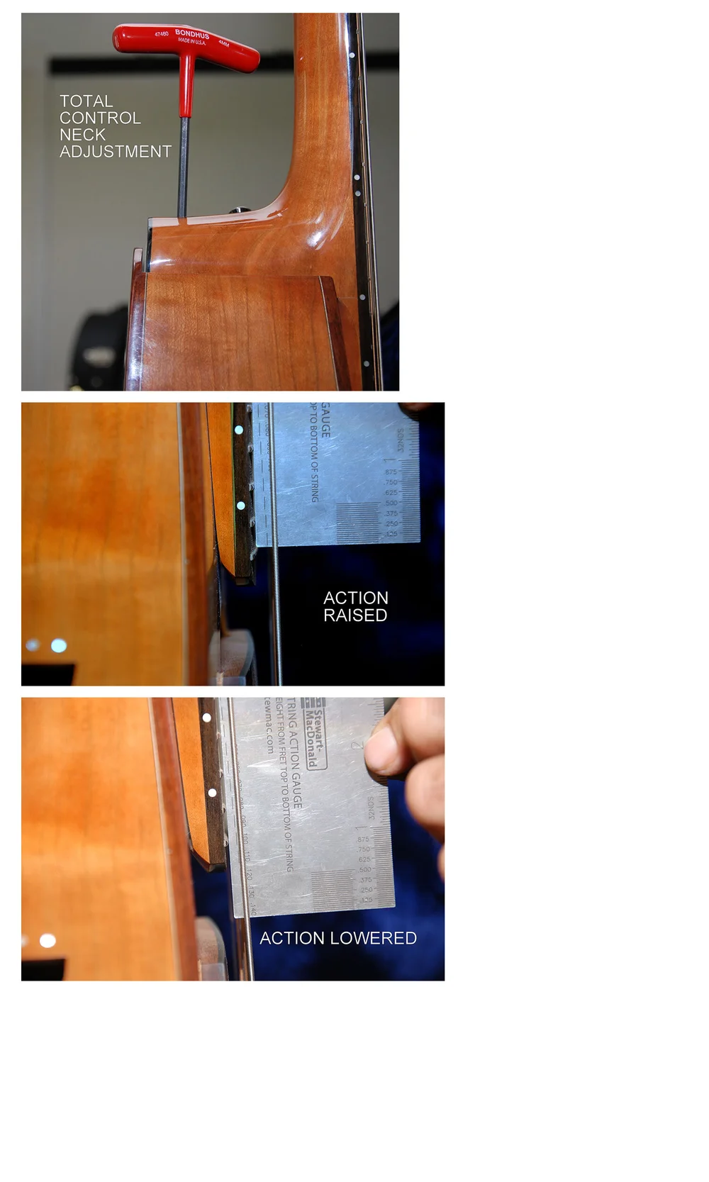 Innovative Designs - Custom-Made Mandocellos and Wood Instruments ...