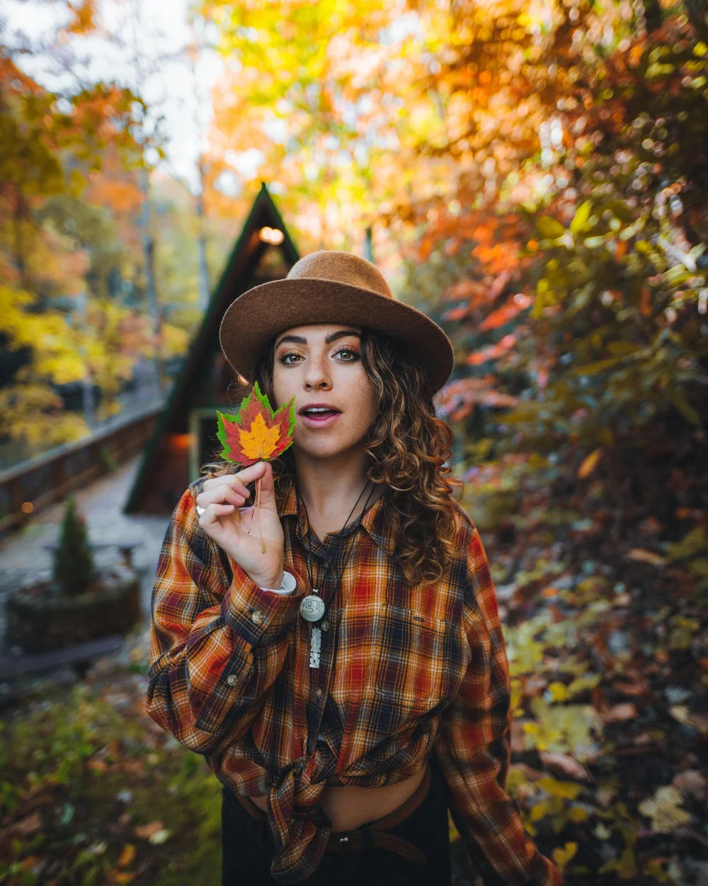 Fall Lifestyle & Travel Photography — Chelsea Mealo