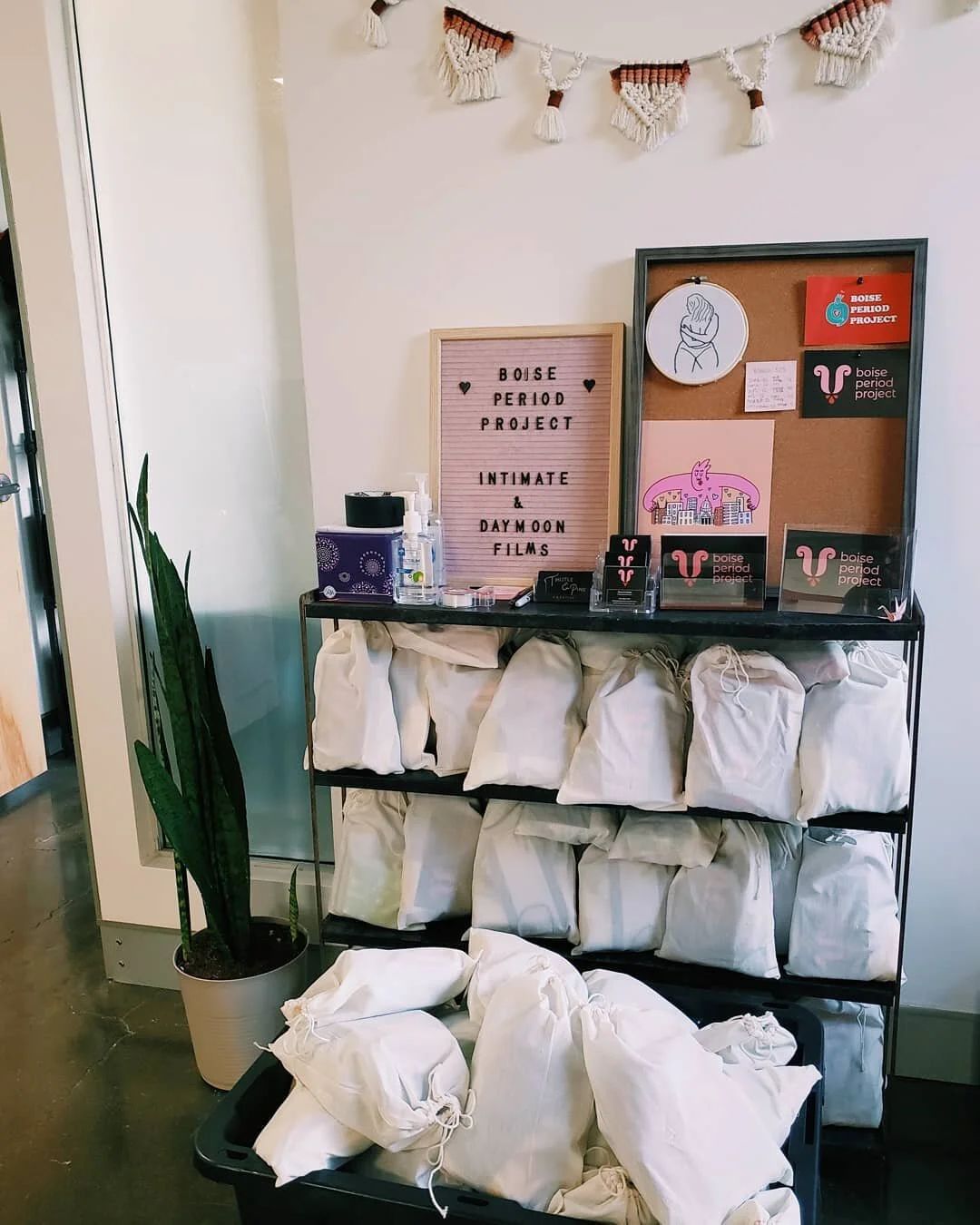 Boise Period Project