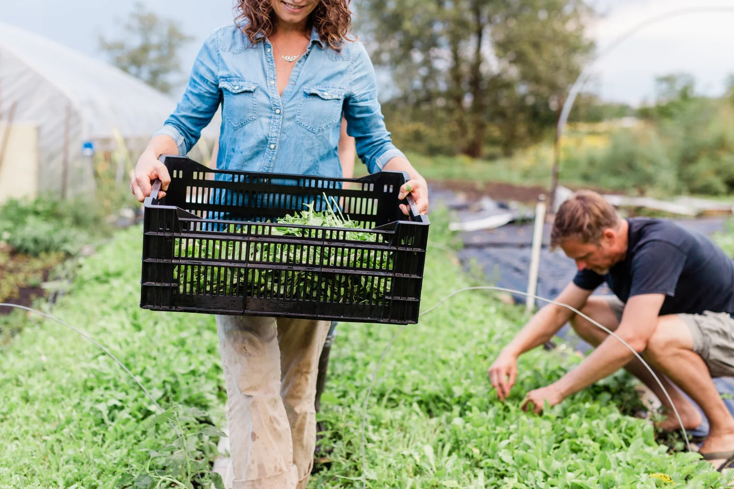 Our Produce — Swallowtail Farm