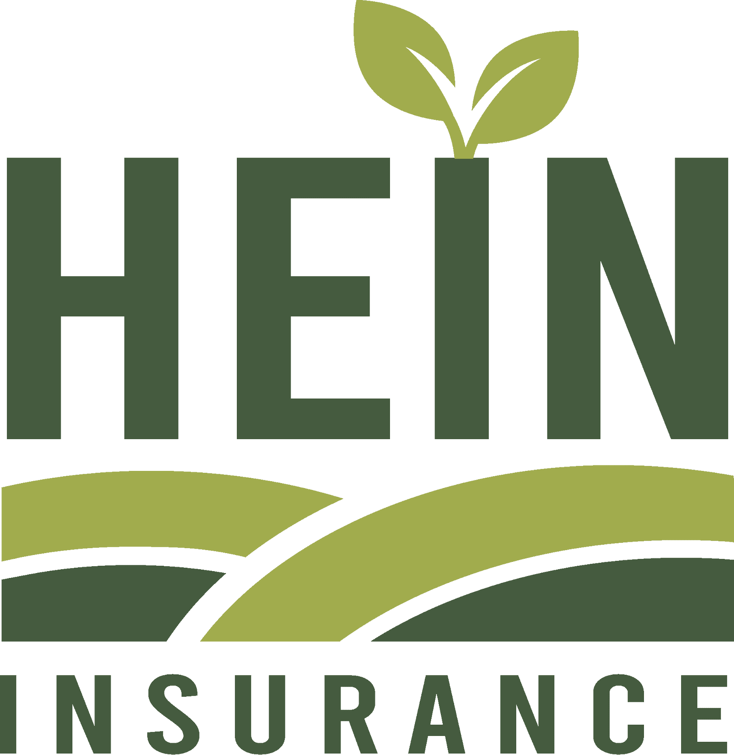 Hein Insurance