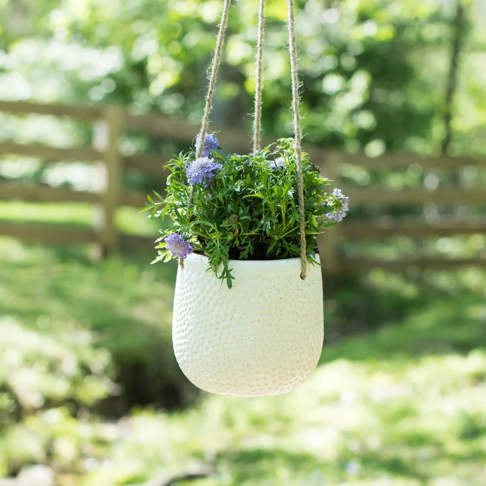 Tips & Tricks | How To Use Hanging Planters — Kirkland's Home Blog