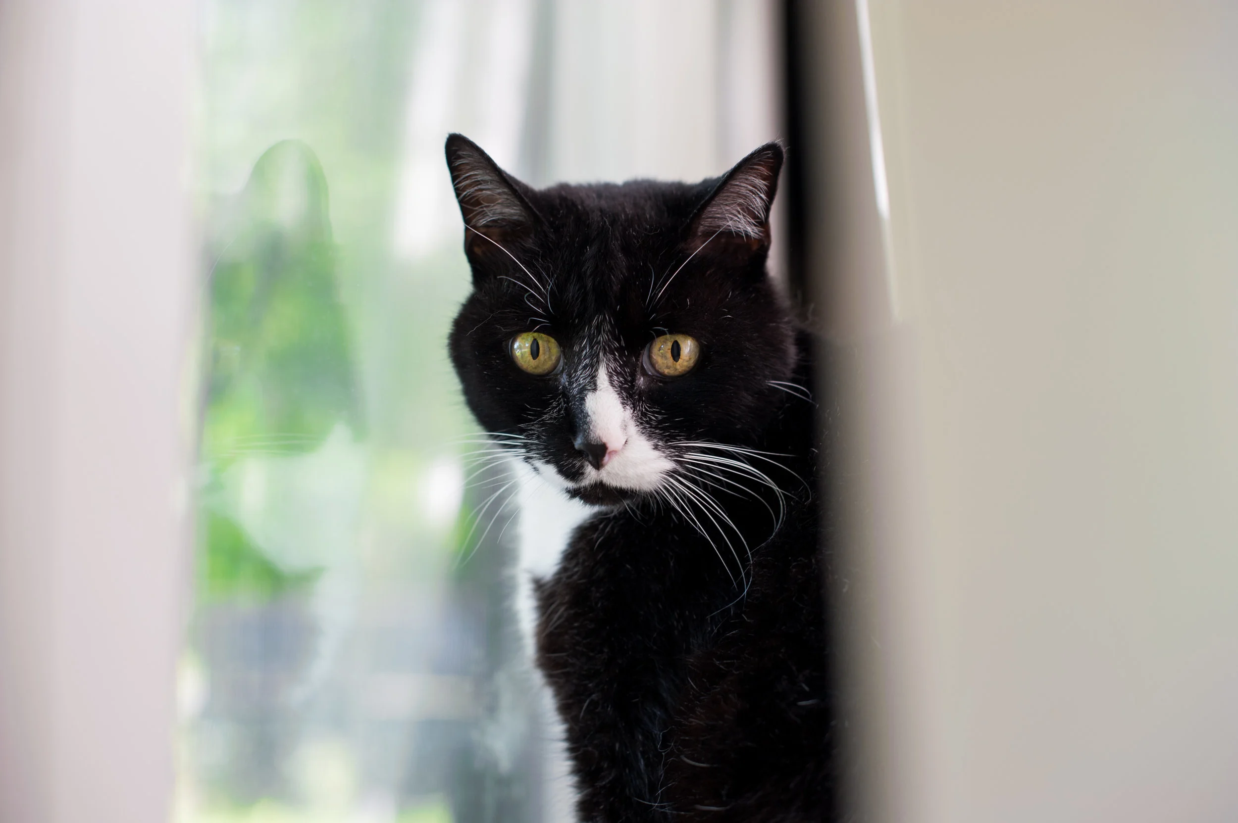 Tonya Dean Photography