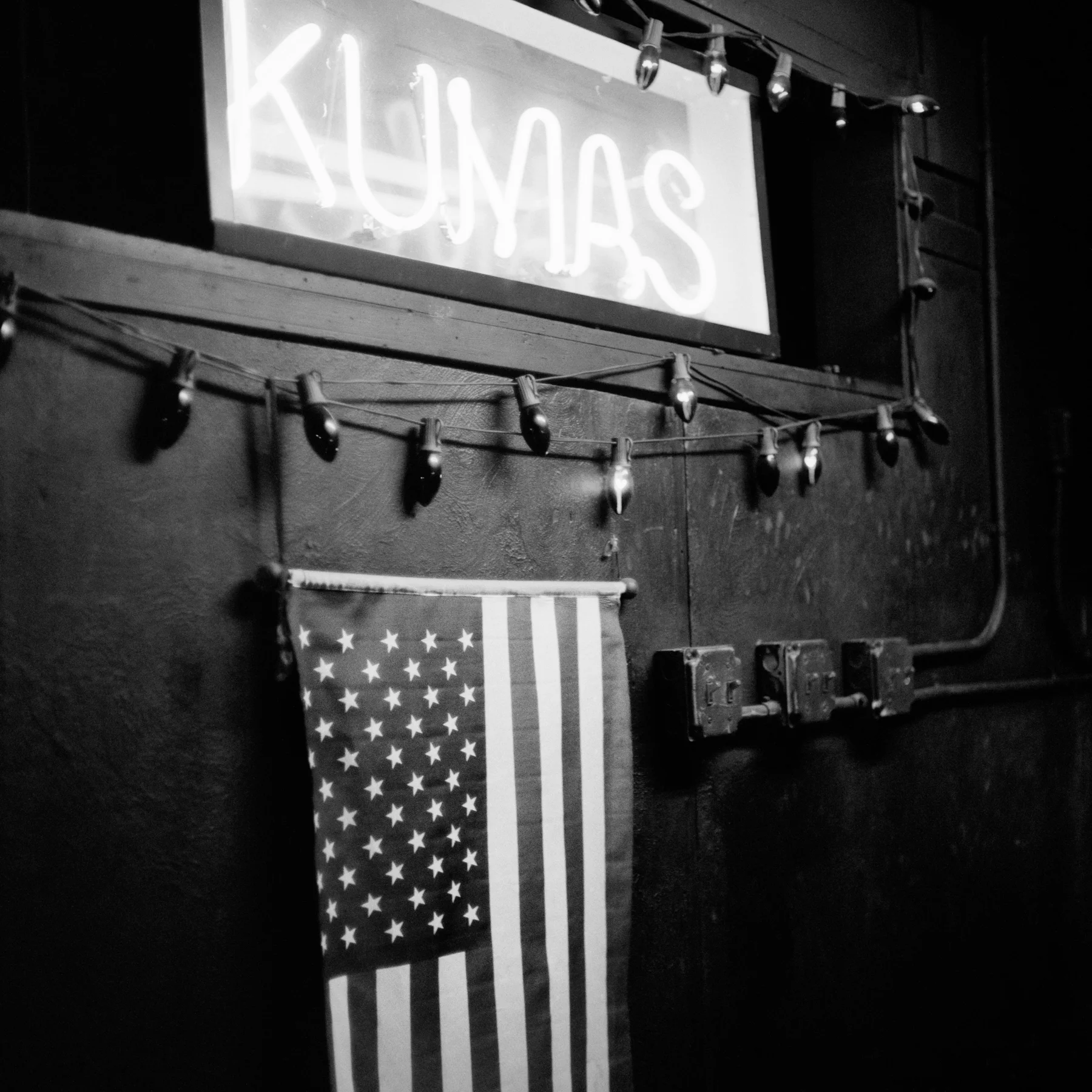 Cate Dingley — Exotic Bodies In Motion