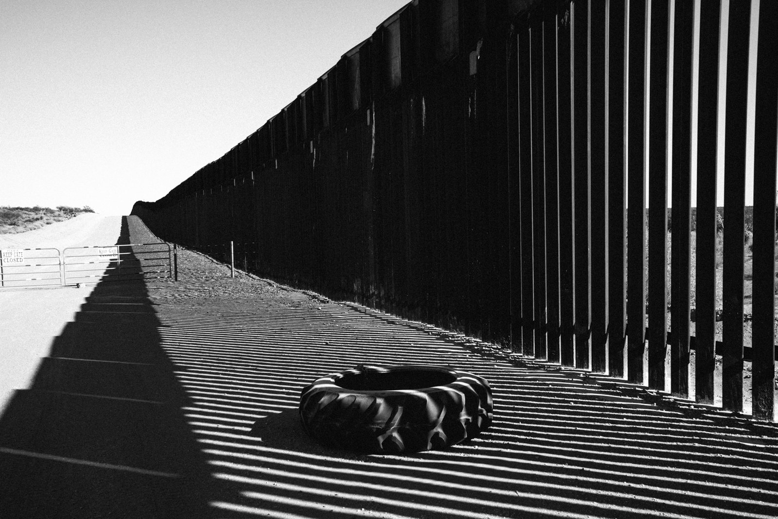 Cate Dingley — On Assignment