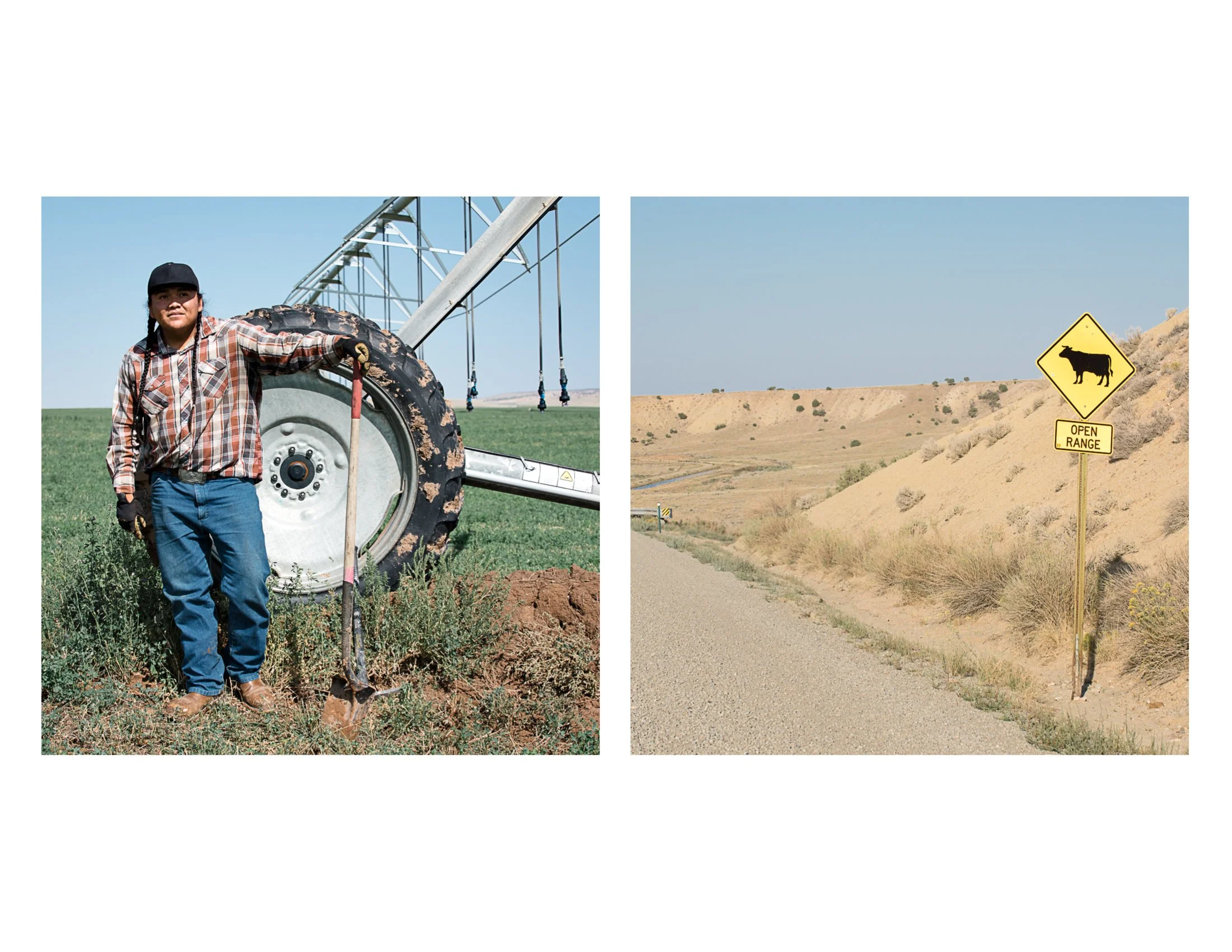 Cate Dingley — On Assignment