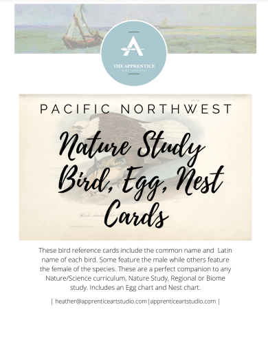 How to Teach Classical Art Lessons at Home-A Resource Guide — The Apprentice Art Studio