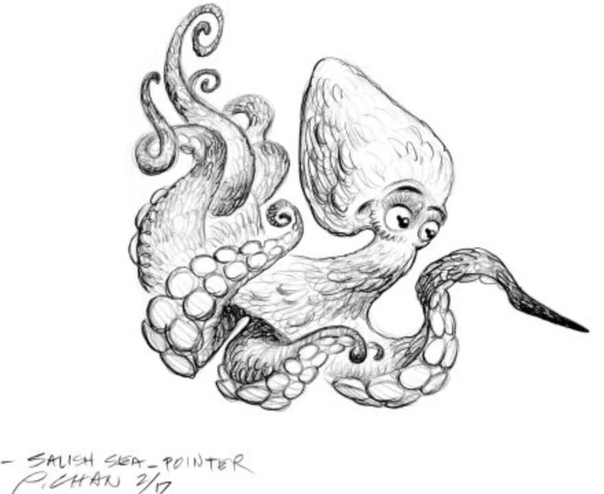 North Pacific Giant Octopus Drawing
