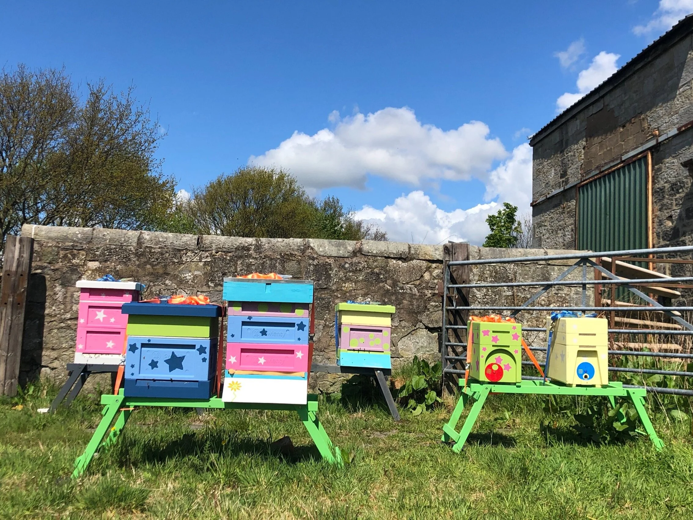 Kin Bees Award Winning Honey