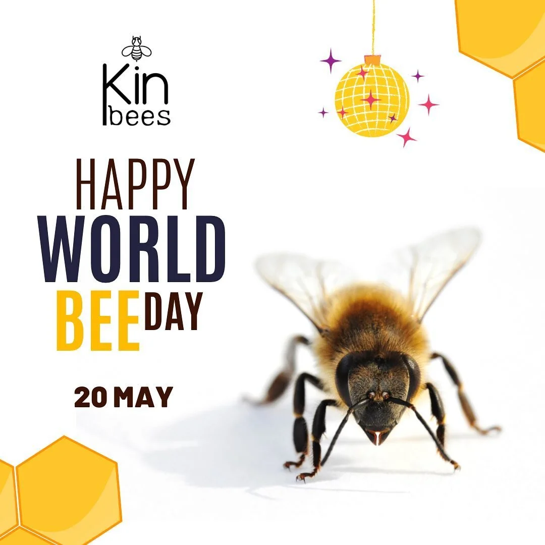 Award Winning Honey - Kin Bees - Beekeeping Experience - hive sponsorship