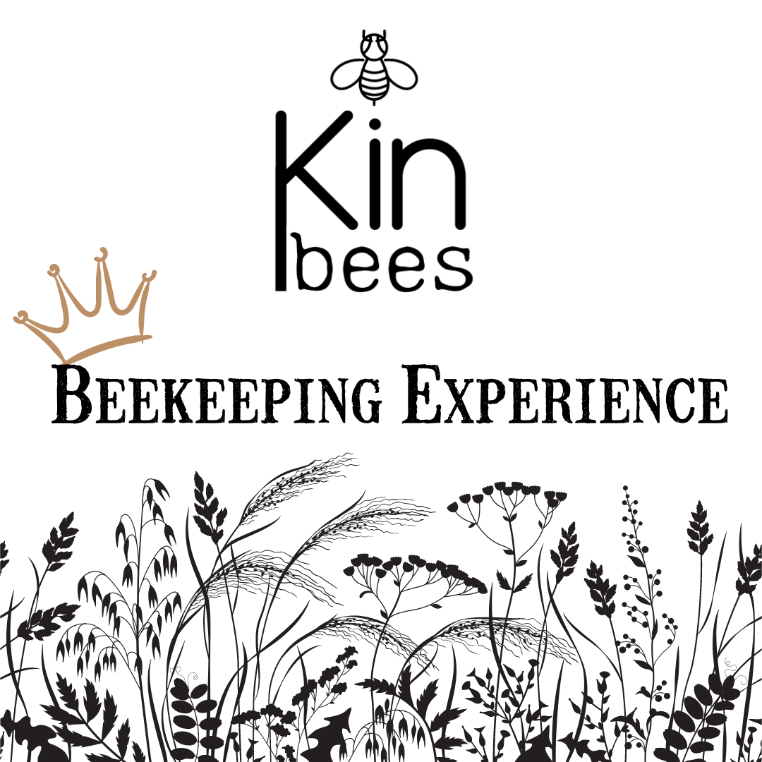 Events & Markets — Kin Bees