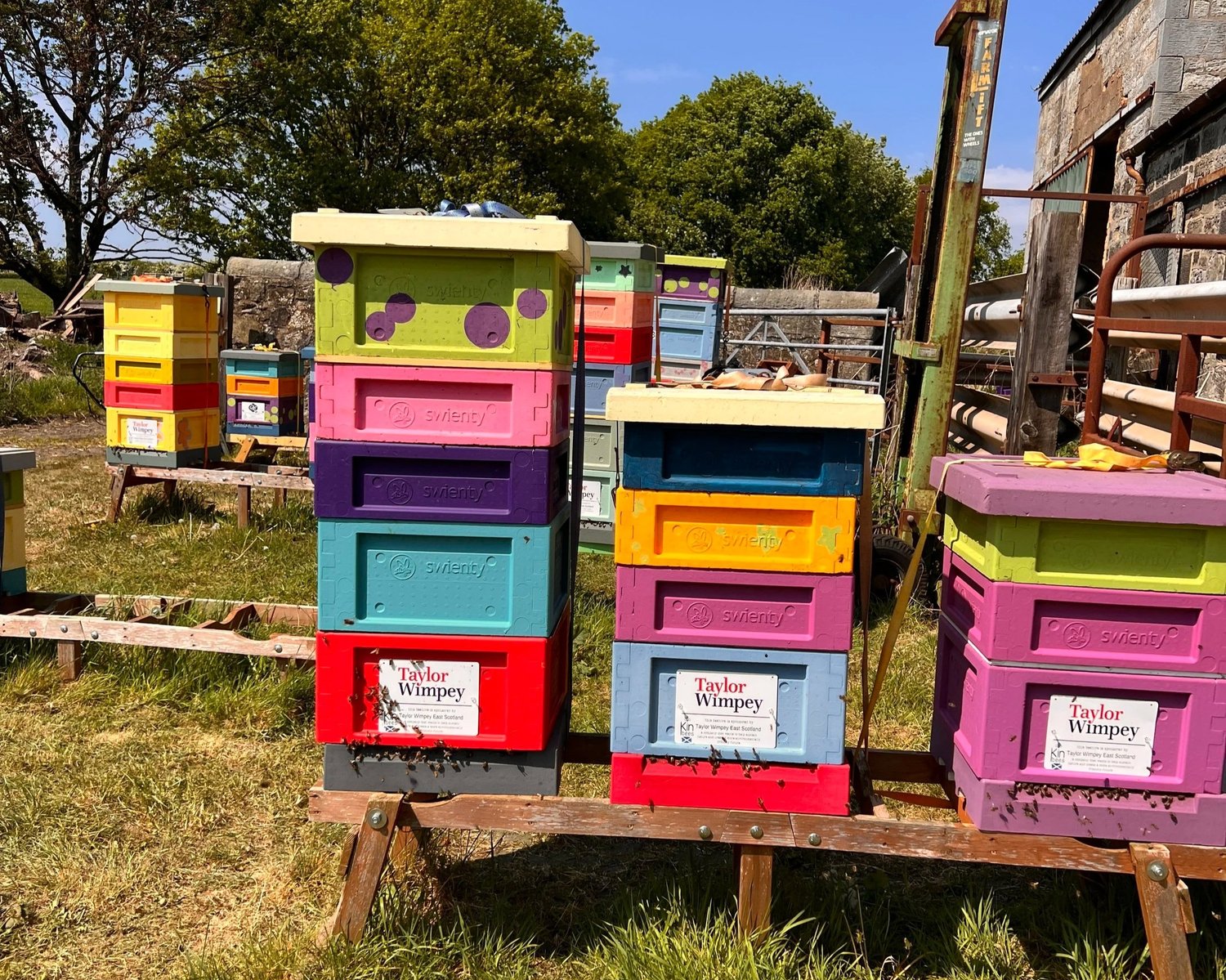 Award Winning Honey - Kin Bees - Beekeeping Experience - hive sponsorship