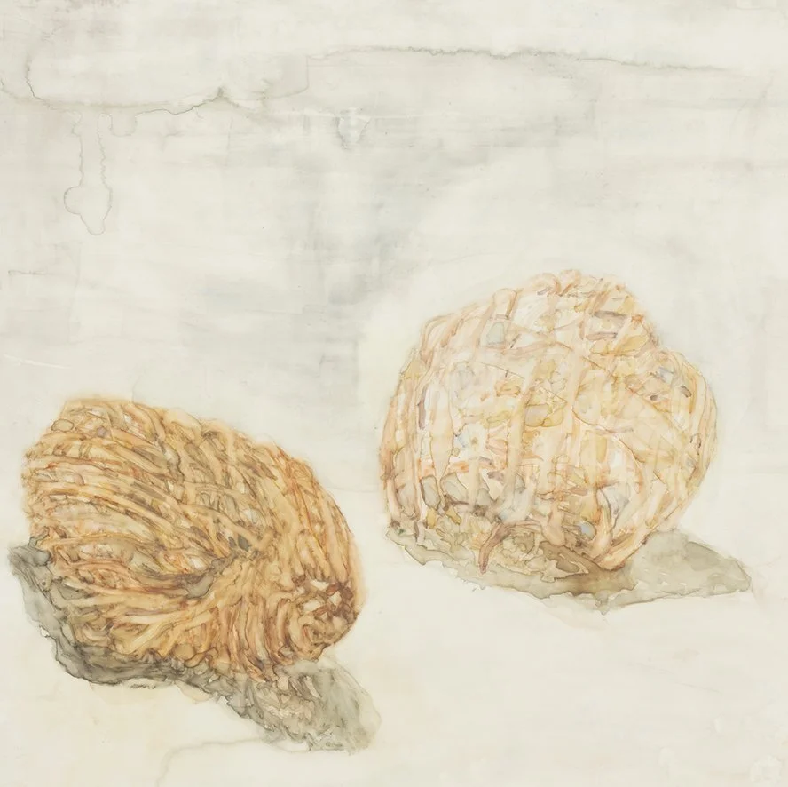 Works on paper — MARISA TESAURO